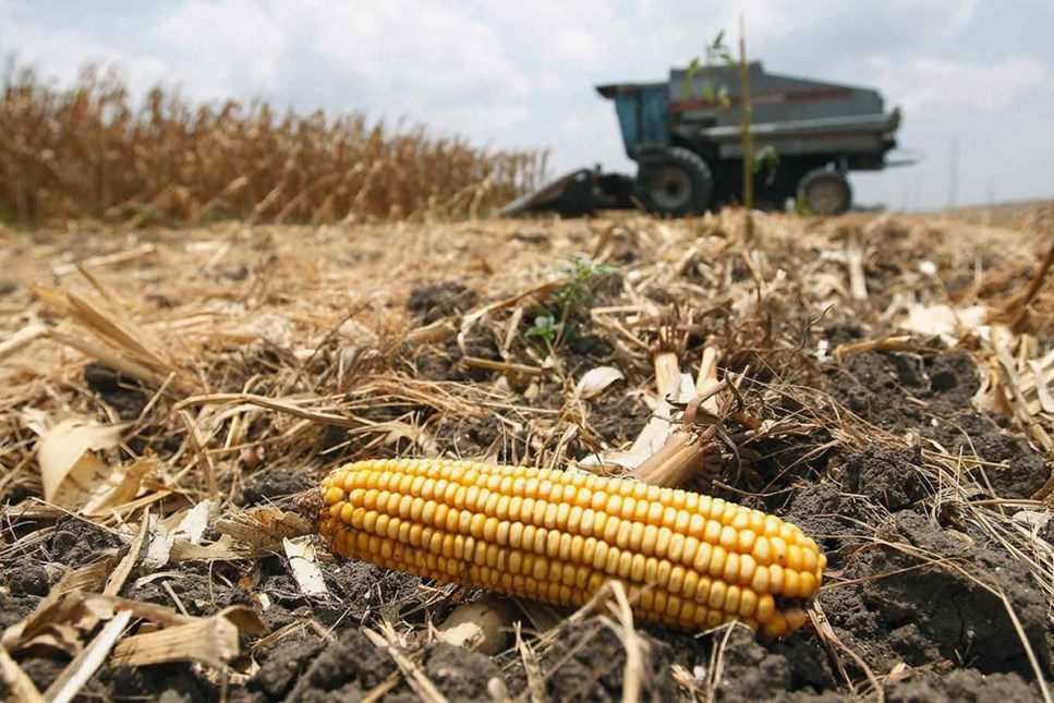 Două dintre regiunile cele mai specializate în agricultură din UE sunt ...