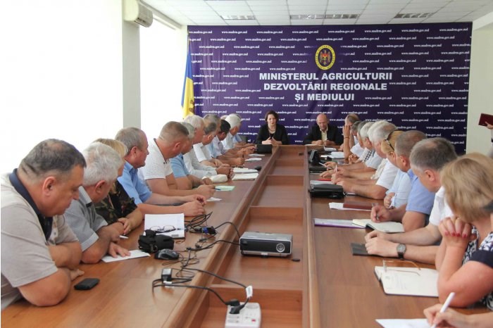 Georgeta Mincu: Trebuie să facilităm crearea prețurilor competitive ...