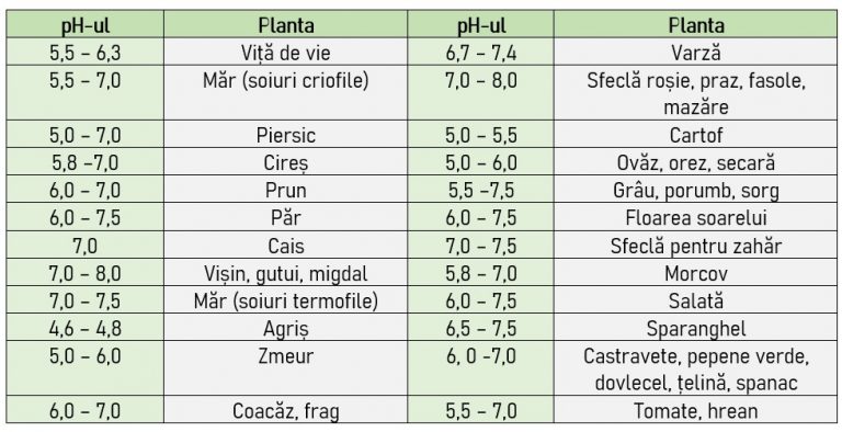 pH-ul solului – importanță, cum poate fi reglat