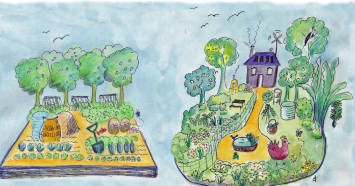 Permacultura – agricultura în armonie cu natura