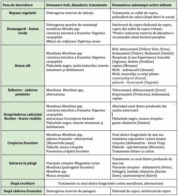 Tratamente la cireș – scheme și perioade recomandate