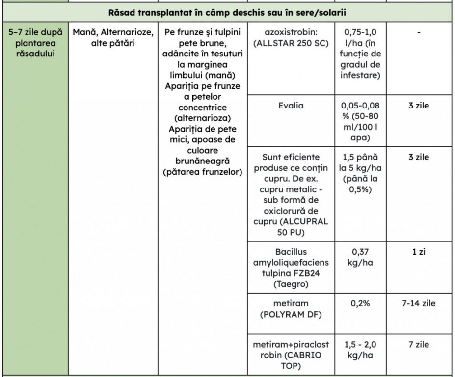Schemă tratament tomate – sfaturi pentru a evita riscurile