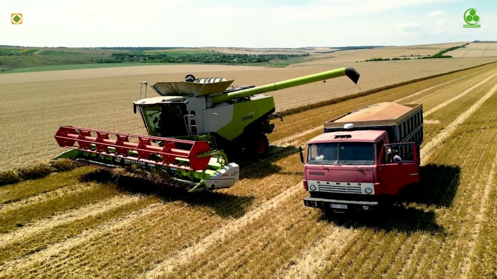 C.Î. Agrostoc, cel mai mare producător de semințe de grâu și orz din Moldova, anunță campania de ...