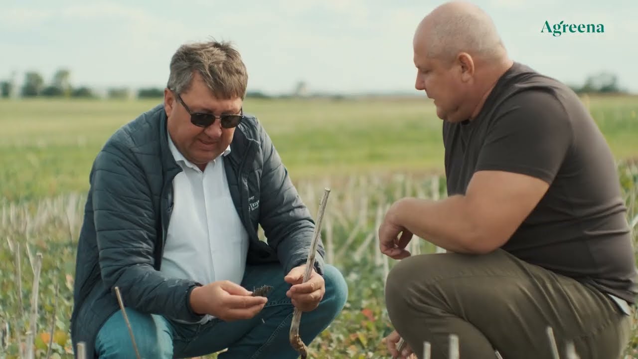 Gheorghe Panfil: No-till este unica soluție în condiții de secetă. Cu ...