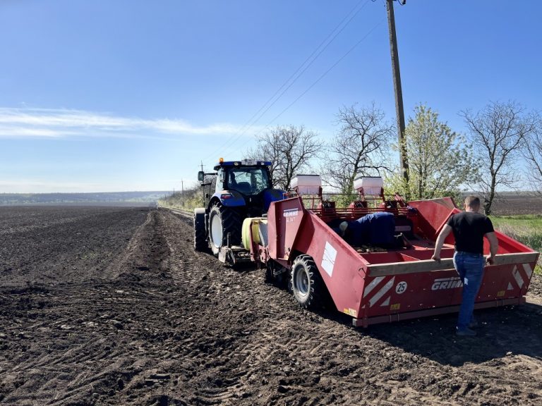 Radu Grosu, Europlant: Suntem în plină campanie de plantare a ...