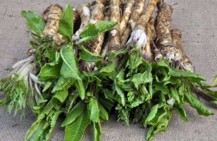 7 legume perene care, odată cultivate, dau recolte mulți ani