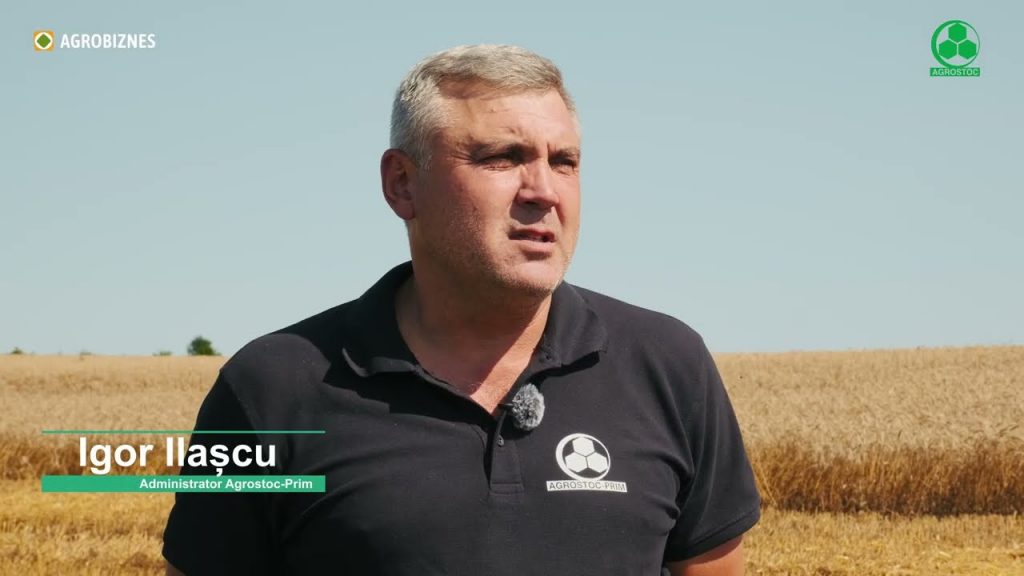 Agrostoc lansează oferta de toamnă pentru semințe de grâu și orz: 15 soiuri cu rezultate verificate