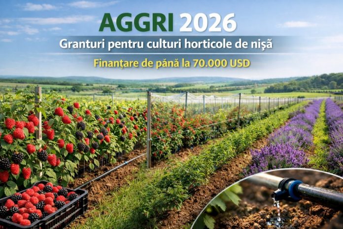 Granturi AGGRI pentru culturi horticole de nișă. Condiții
